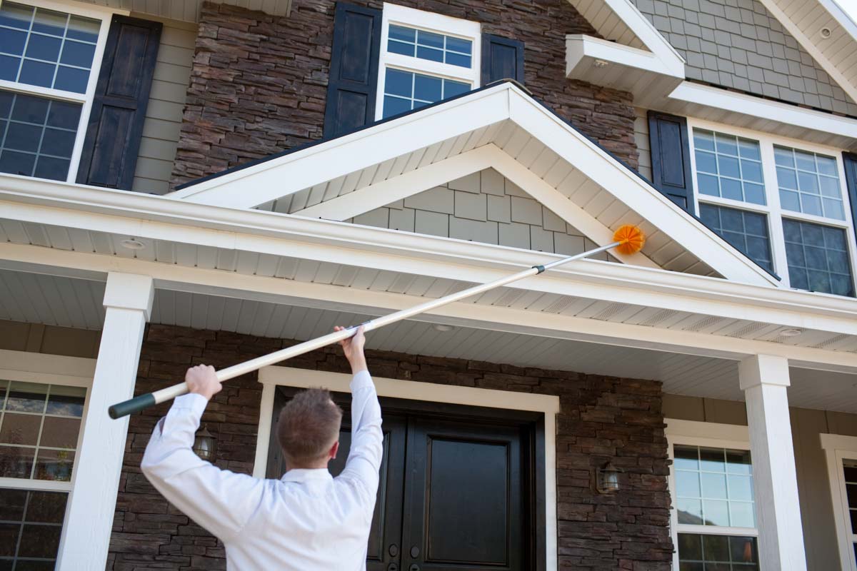 Pest Control in Iron County, UT. Thorn